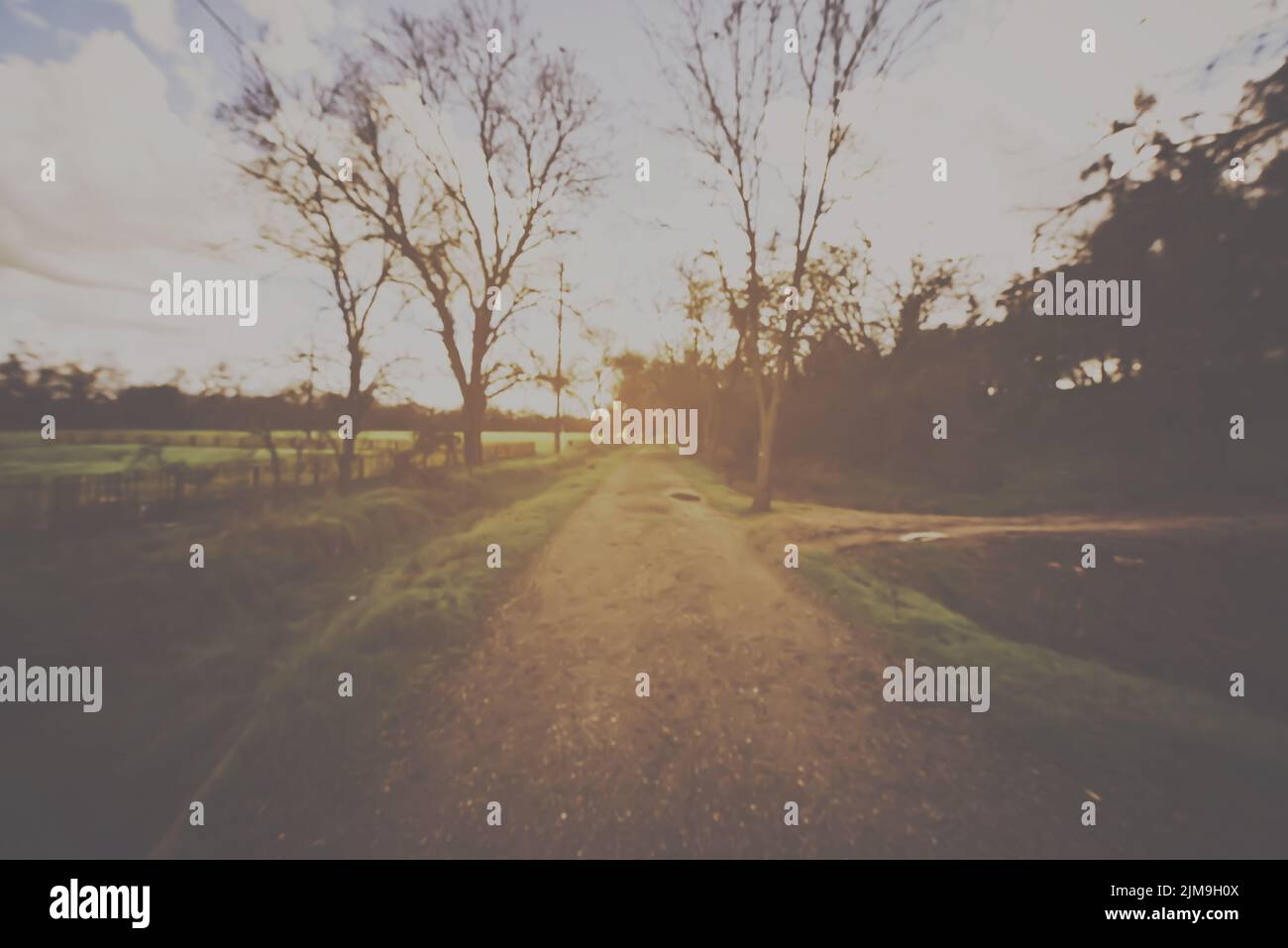 Blurred Nature Background with Vintage Style Filter Stock Photo - Alamy