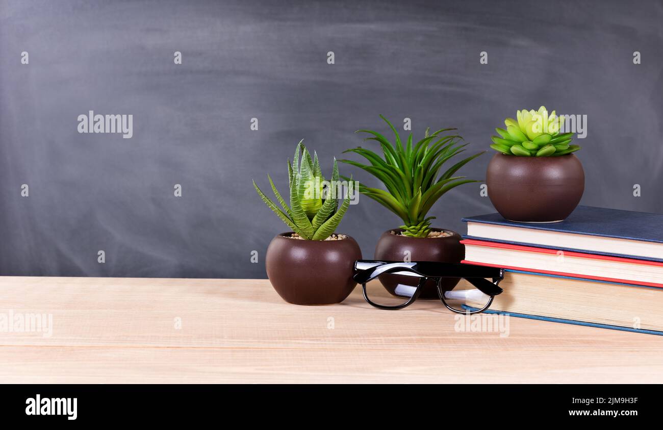 Student desktop with green plants and books with blank blackboard in ...