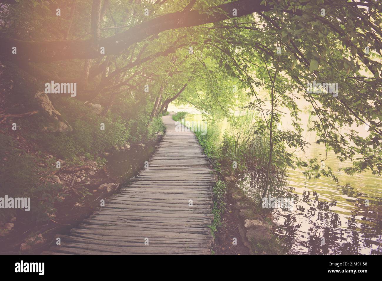 Retro Hiking Path with Sunlight with Instagram Style Vintage Fil Stock ...