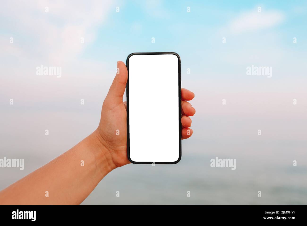 Hand showing a blank smart phone on the beach with the sea in the ...