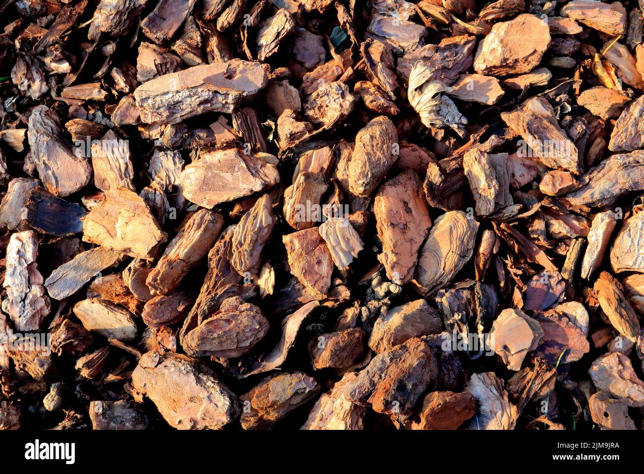 Pinienrinde hi-res stock photography and images - Alamy