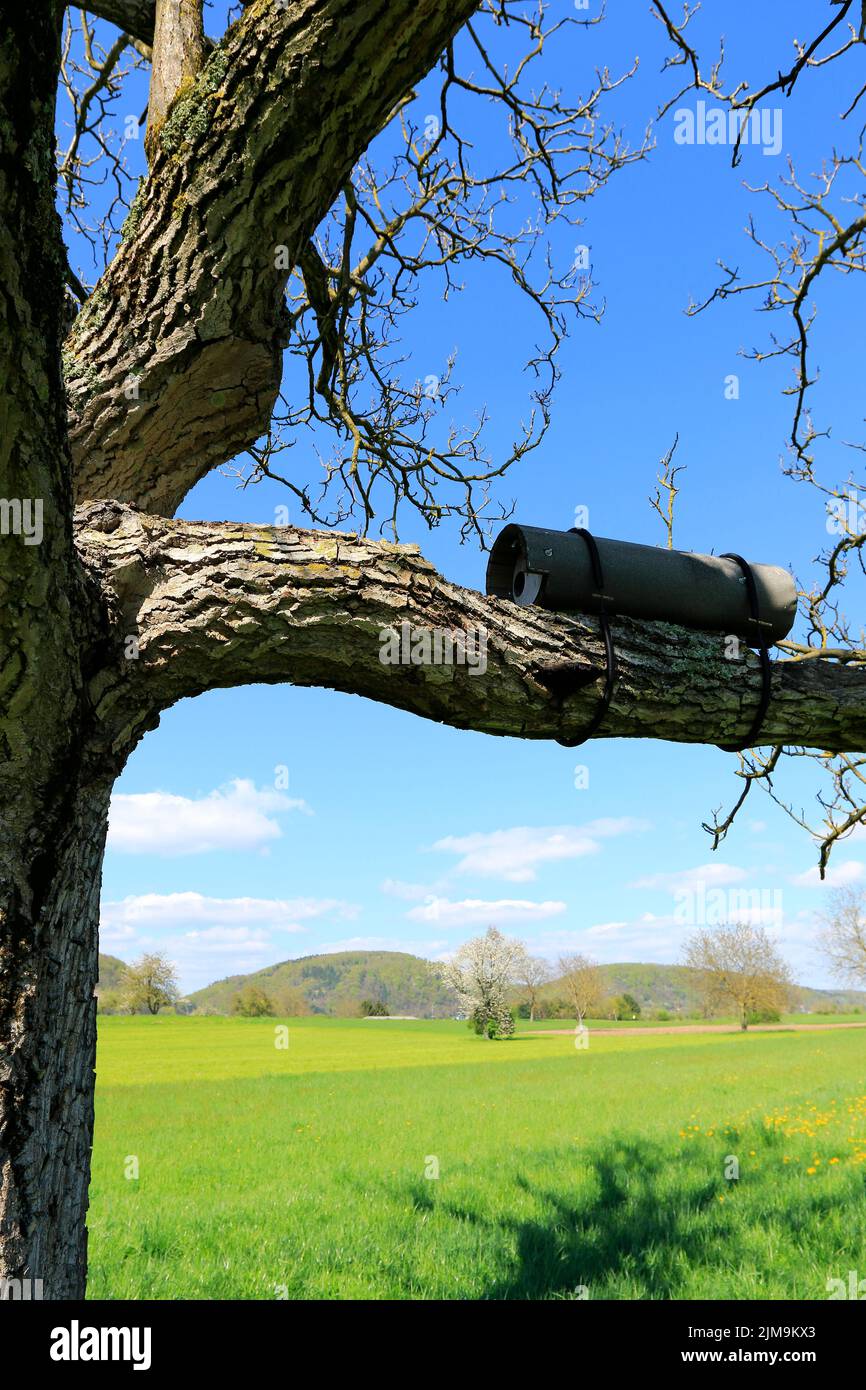 Owl breeding nest box hi-res stock photography and images - Alamy