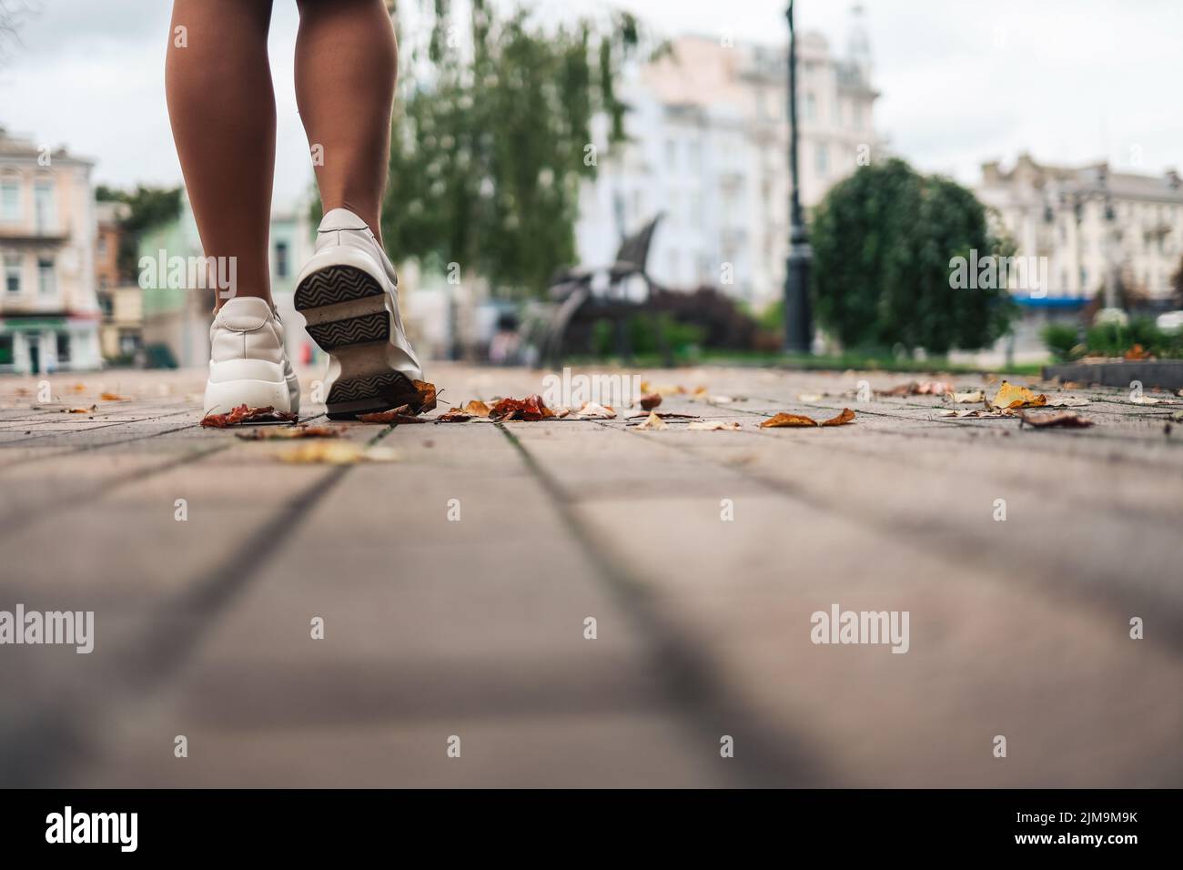 Close up of feet of a runner running in autumn leaves training for ...