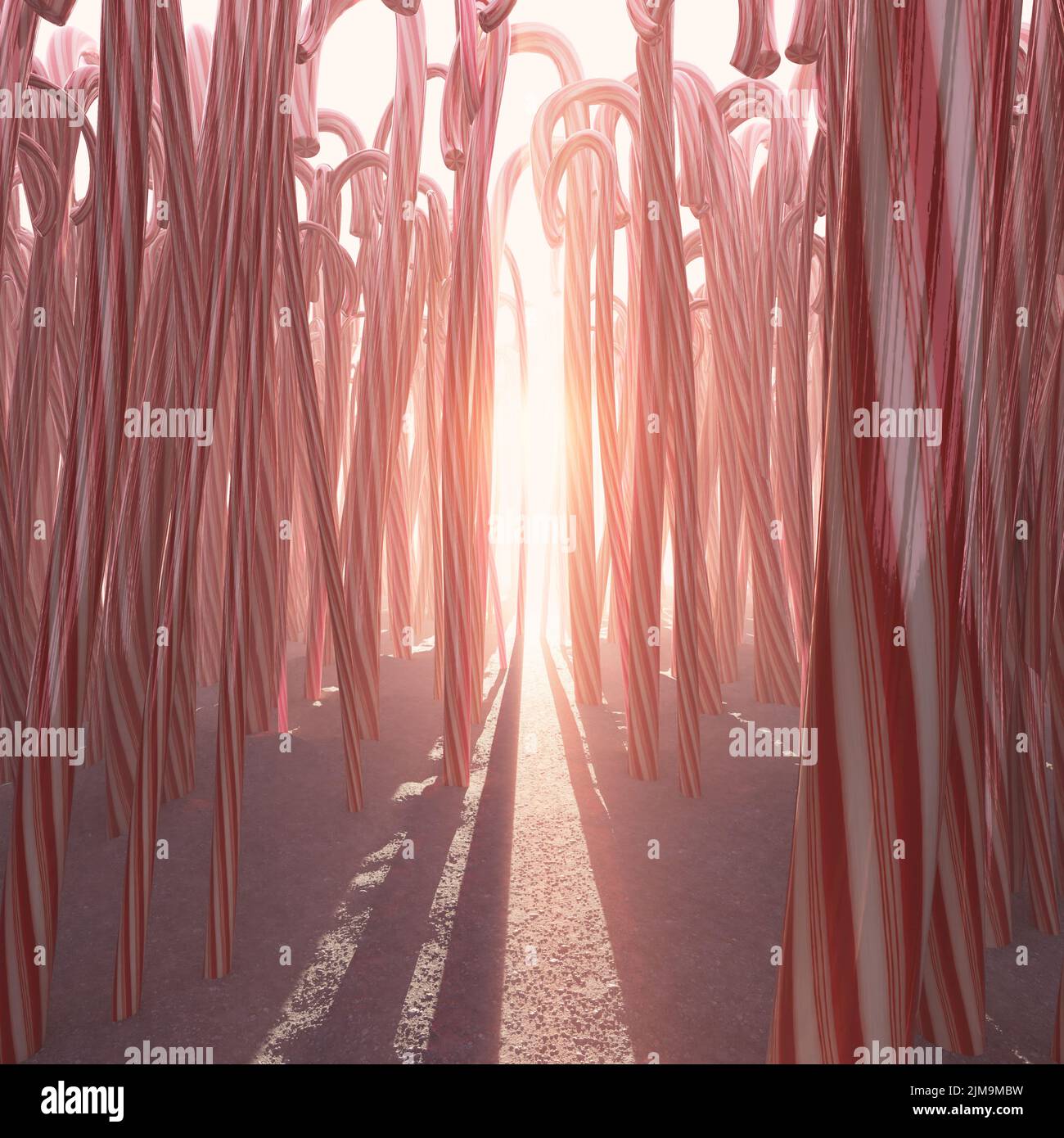 A fantastical concept a pathway through a forest made out of thousands ...