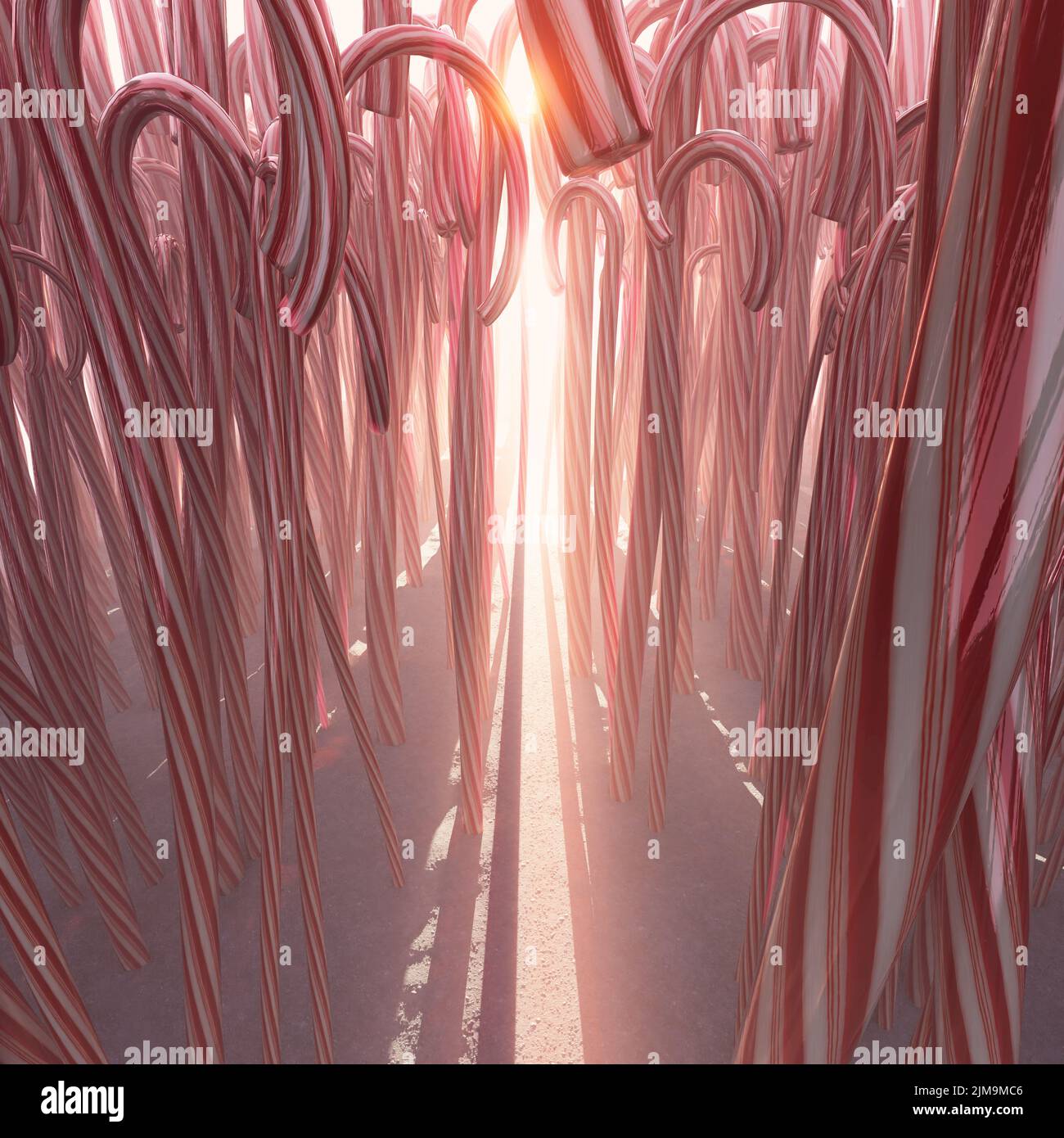 A fantastical concept a pathway through a forest made out of thousands ...