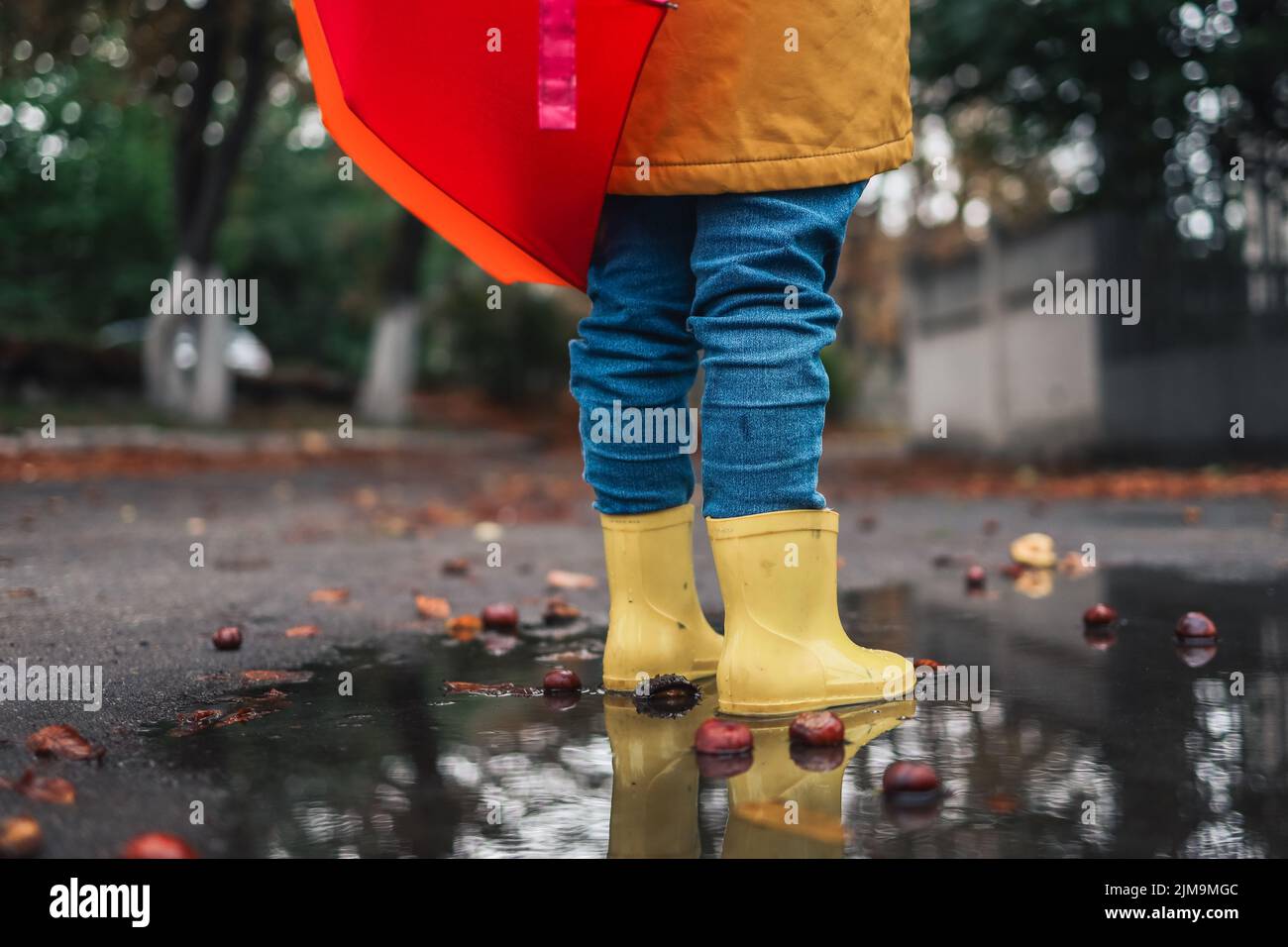 Yellow rubber shoes in puddle after raining. Falling leaves. Autumn ...