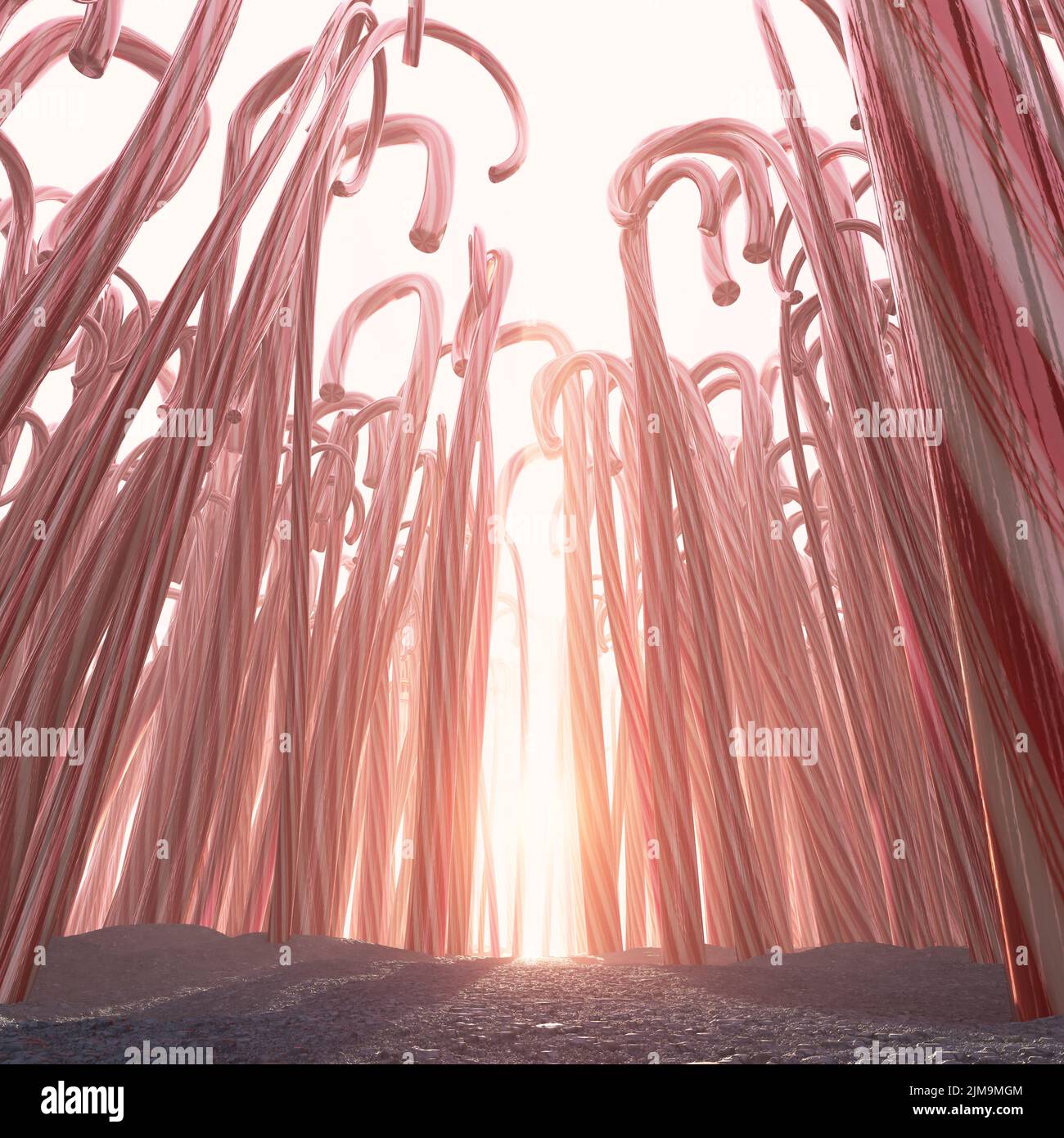 A fantastical concept a pathway through a forest made out of thousands ...