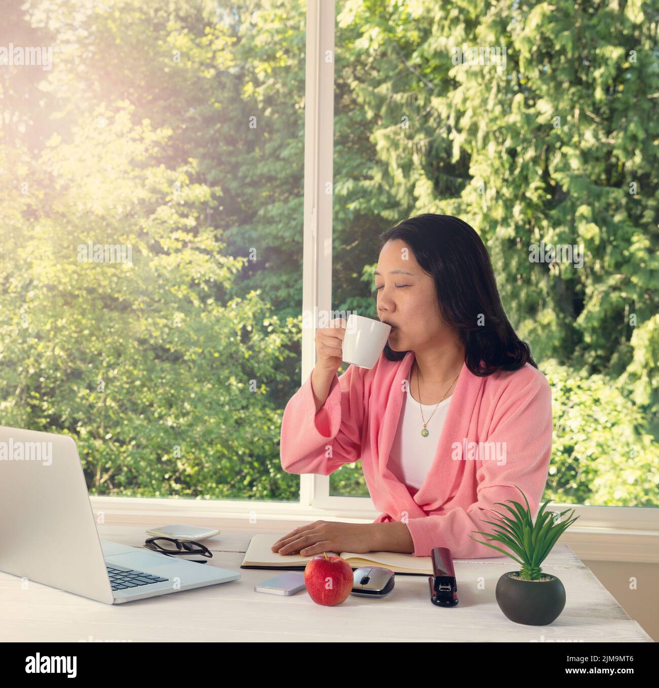 Woman working at home with laptop on desktop workstation hi-res stock ...