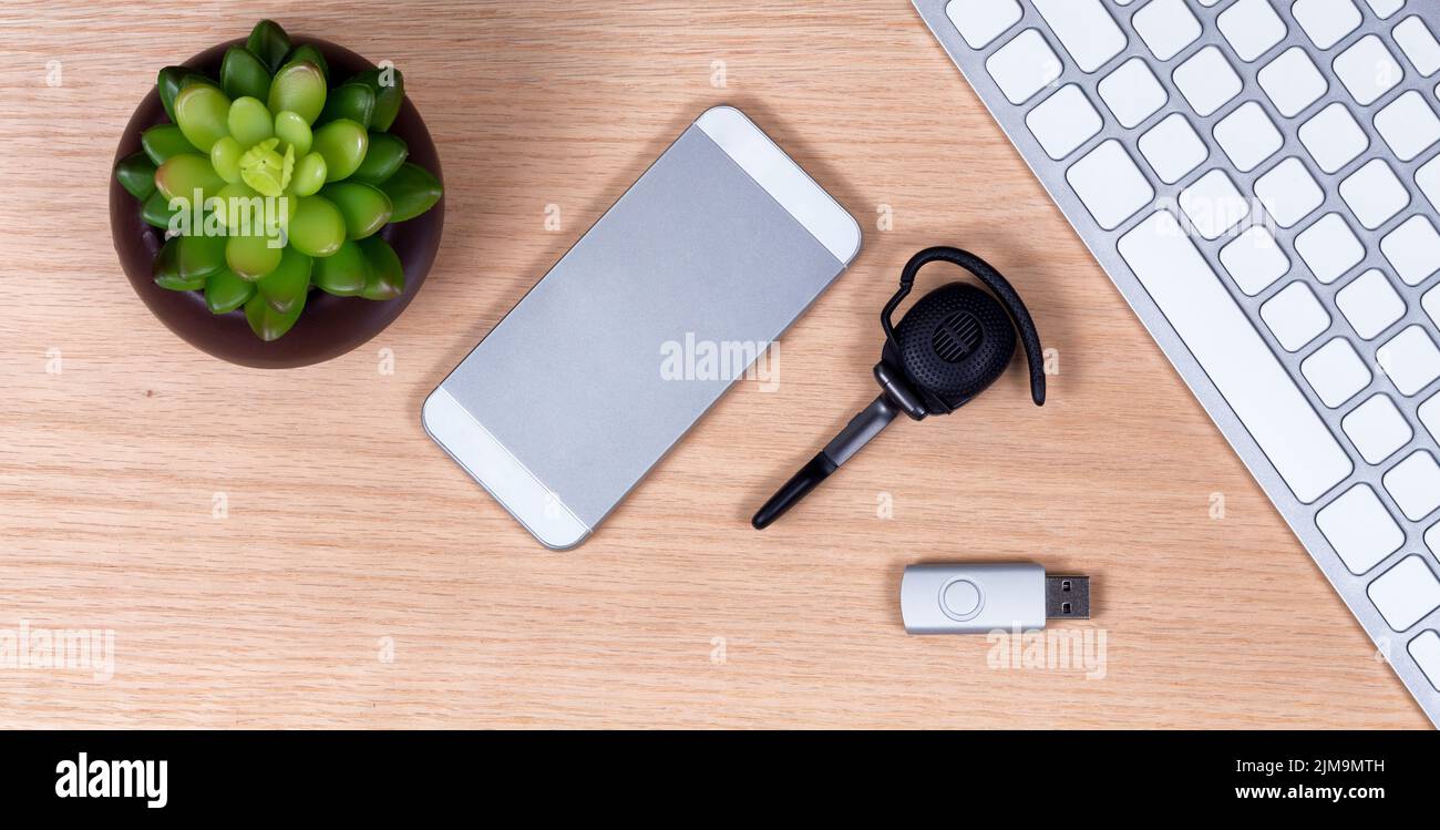Modern computer electronic devices and baby plant on red oak desktop ...