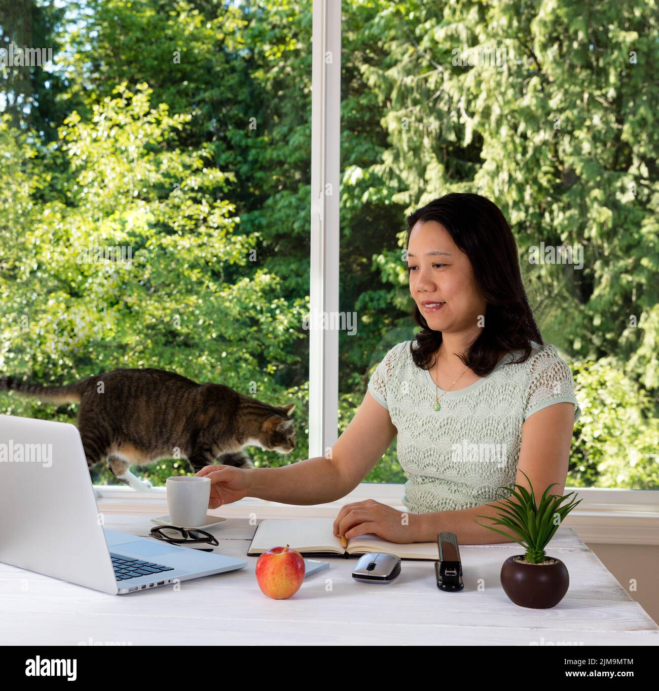 Woman working at home with laptop on desktop workstation hi-res stock ...