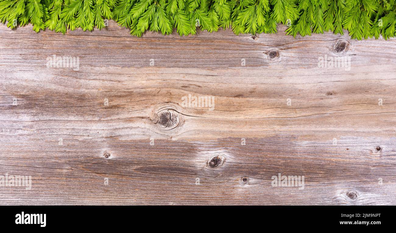 New fir tree branches on rustic wood board for holiday season Stock ...