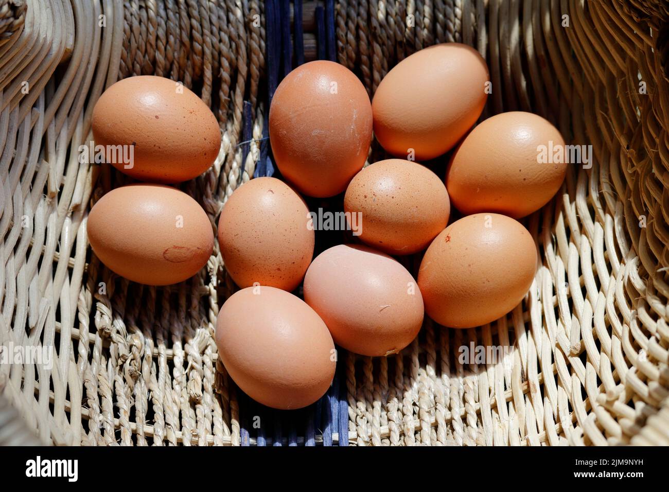 Vintage chicken eggs hi-res stock photography and images - Alamy