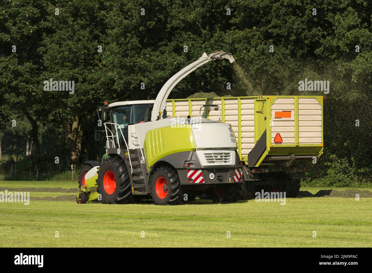Forage harvester and transport of grass with tractor and a loader wagon ...