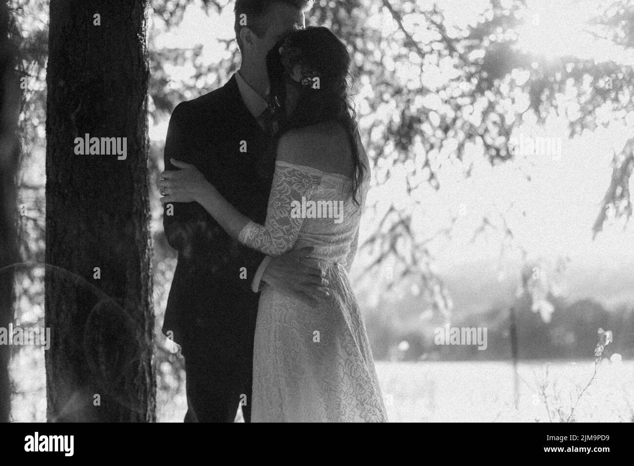 Interior of forest Black and White Stock Photos & Images - Alamy