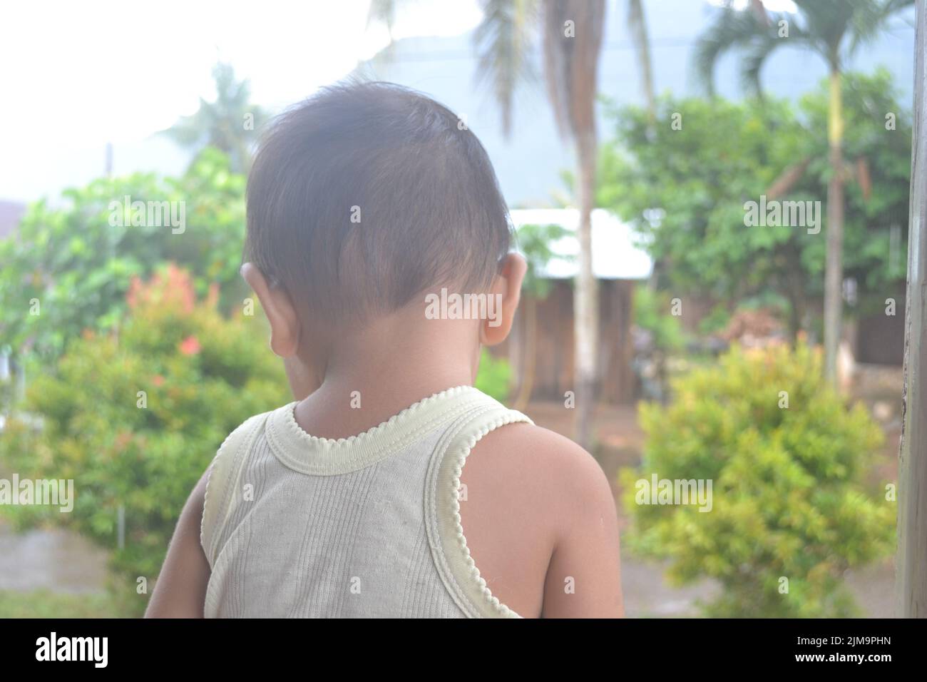 A rear view of a little boy Stock Photo - Alamy