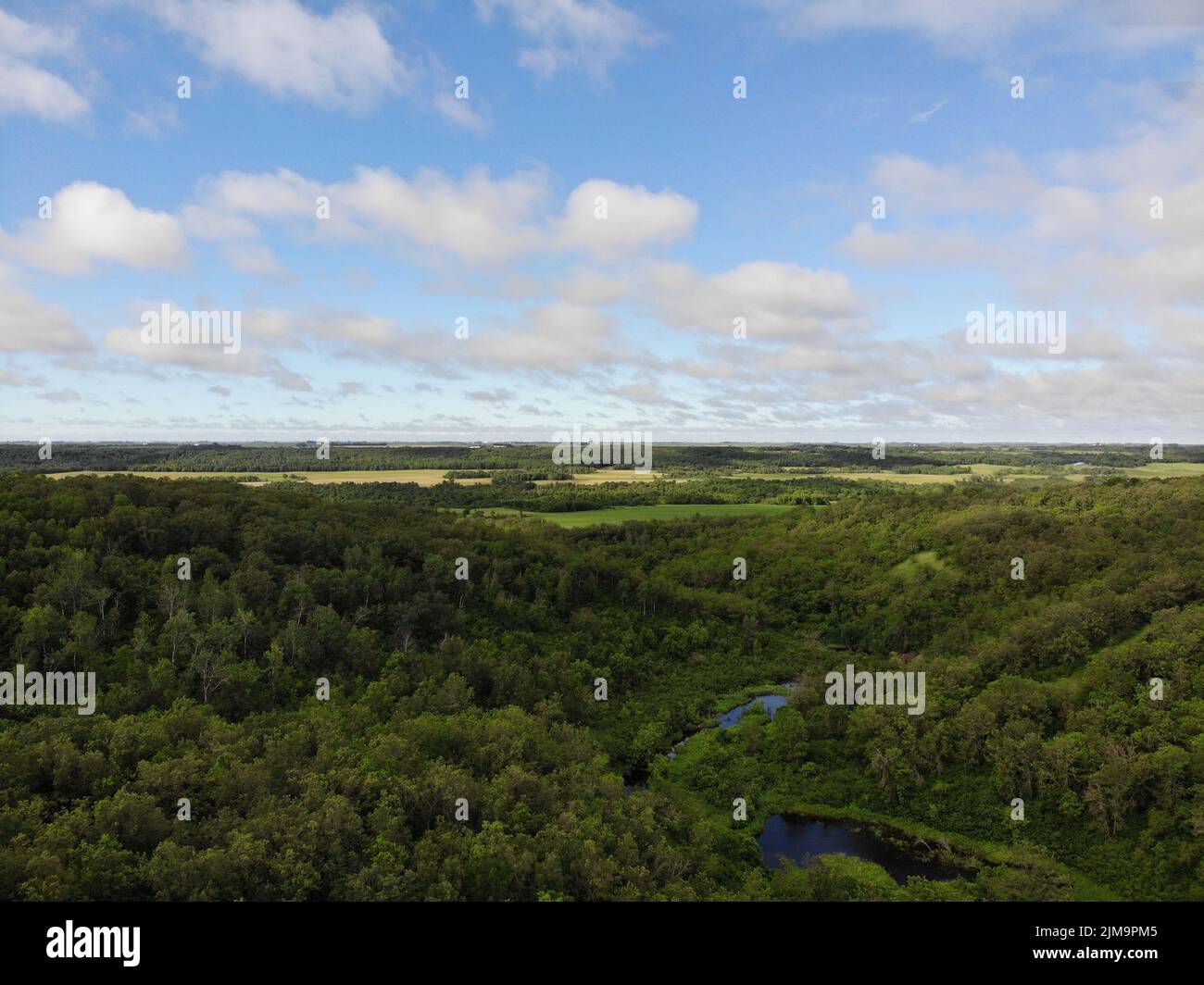 An aerial view of scenic beautiful spring forest Stock Photo - Alamy