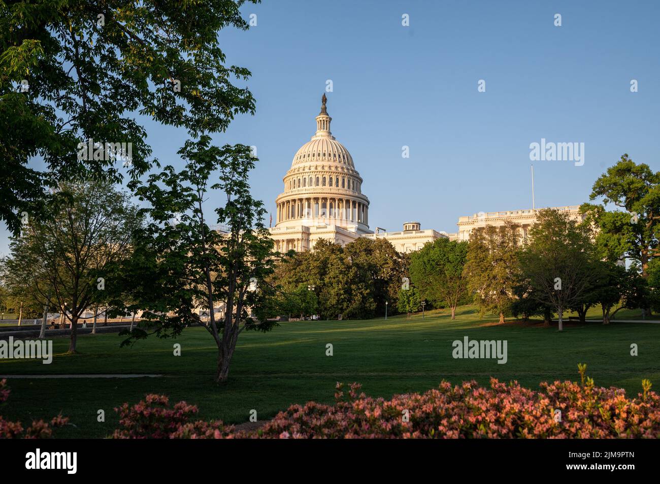 The US Capitol building viewed from a beautiful garden in Washington, D ...