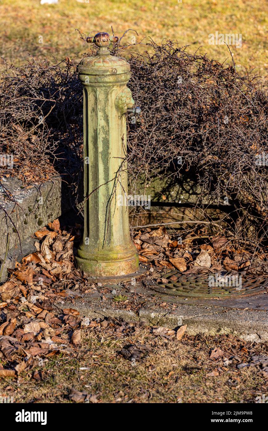 A vertical shot of an old street fire hydrant among dry grass Stock ...