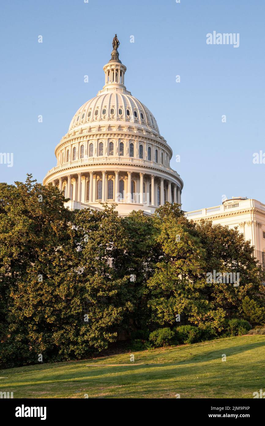 A vertical shot of the US Capitol building behind a bush in Washington ...