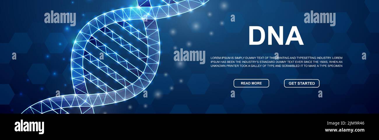 DNA spiral 3d low poly symbol for head promotion banner. Biotech design illustration concept ...