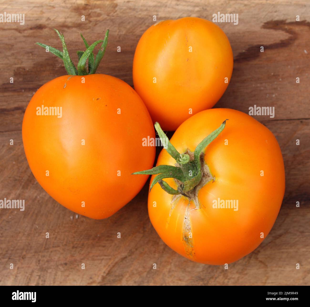 Moonglow hi-res stock photography and images - Alamy