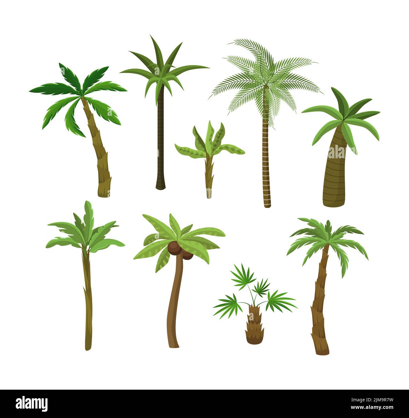 Greenery and palm trees Stock Vector Images - Alamy