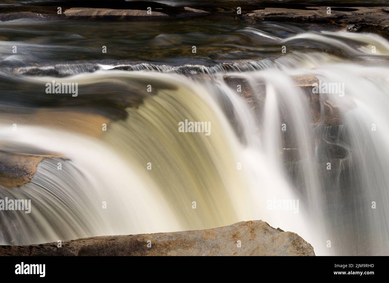 Shavers fork of the cheat river hi-res stock photography and images - Alamy
