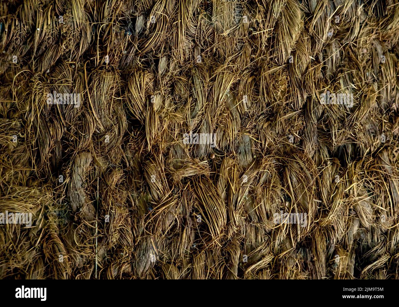 Coir detail hi-res stock photography and images - Alamy