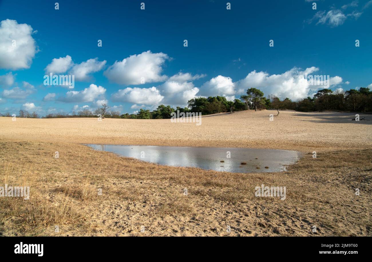 A scenic view of a small water area in the National Park Loonse en ...