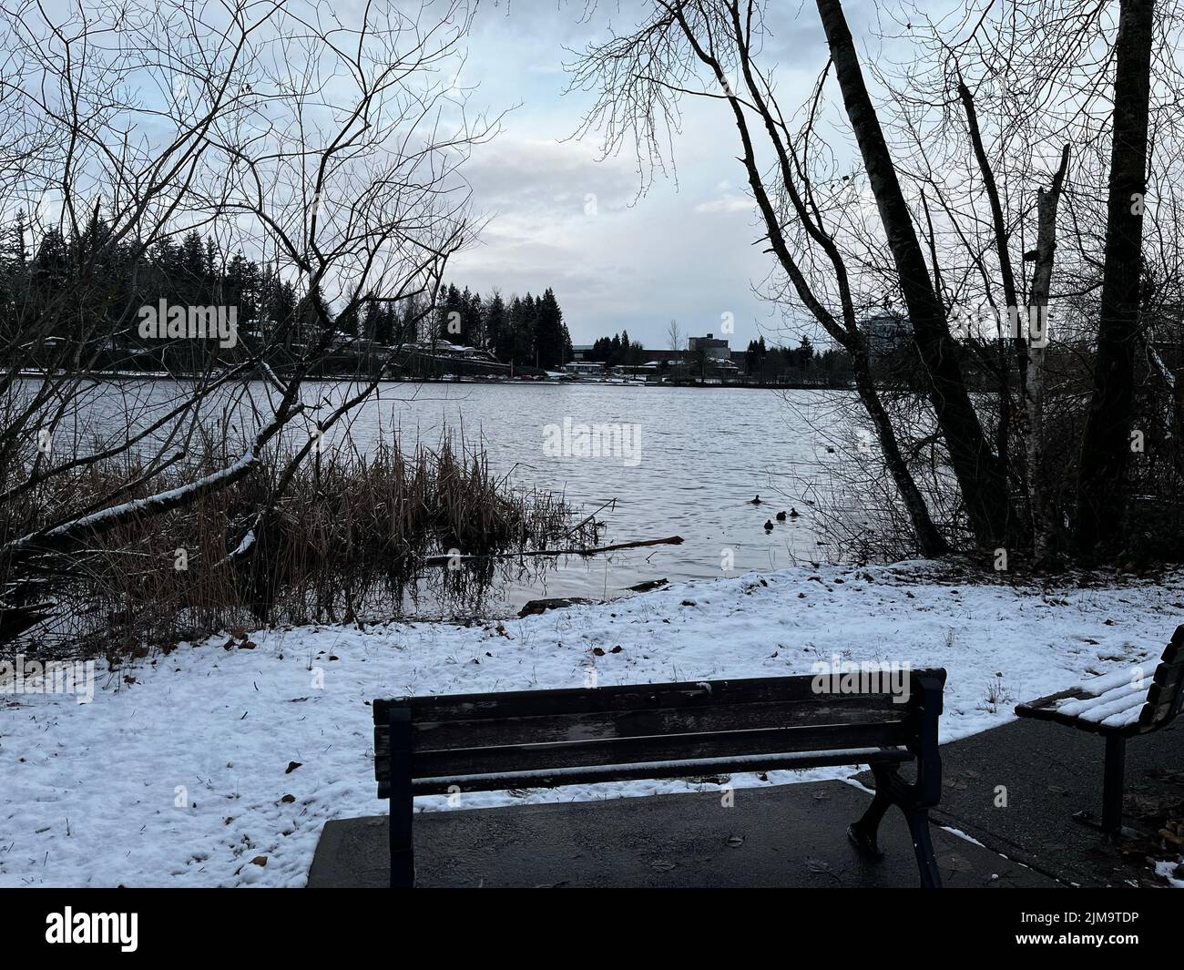 A closeup of a snowy landscape with an empty bench by the lake Stock ...