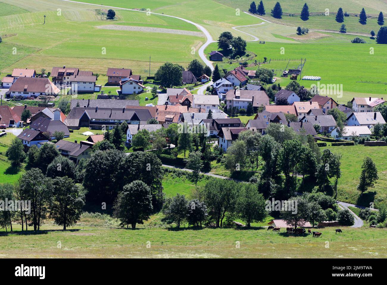 The south black hi-res stock photography and images - Alamy