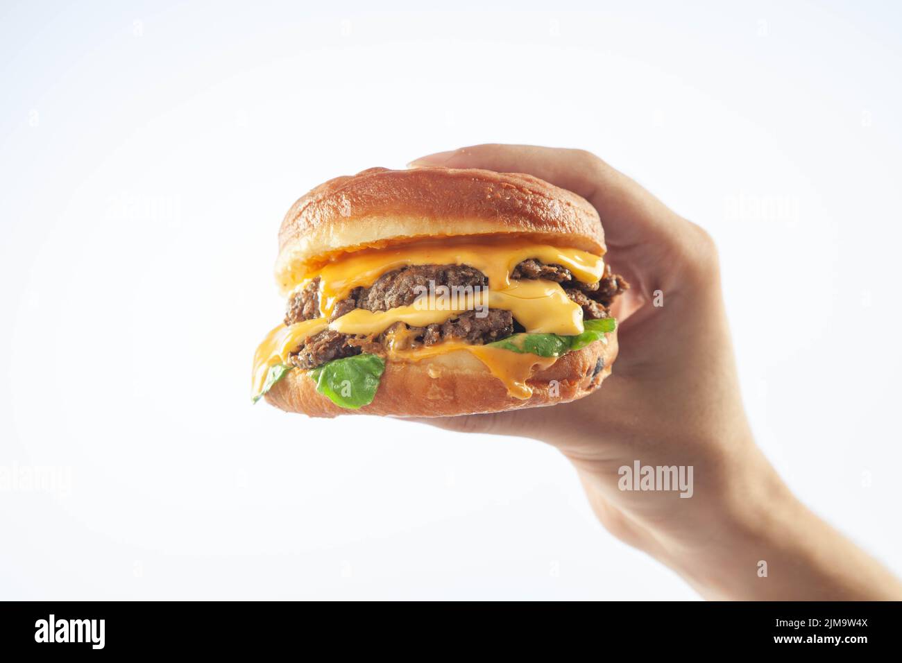 Hand holding a gourmet brioche cheese burger isolated on a white ...