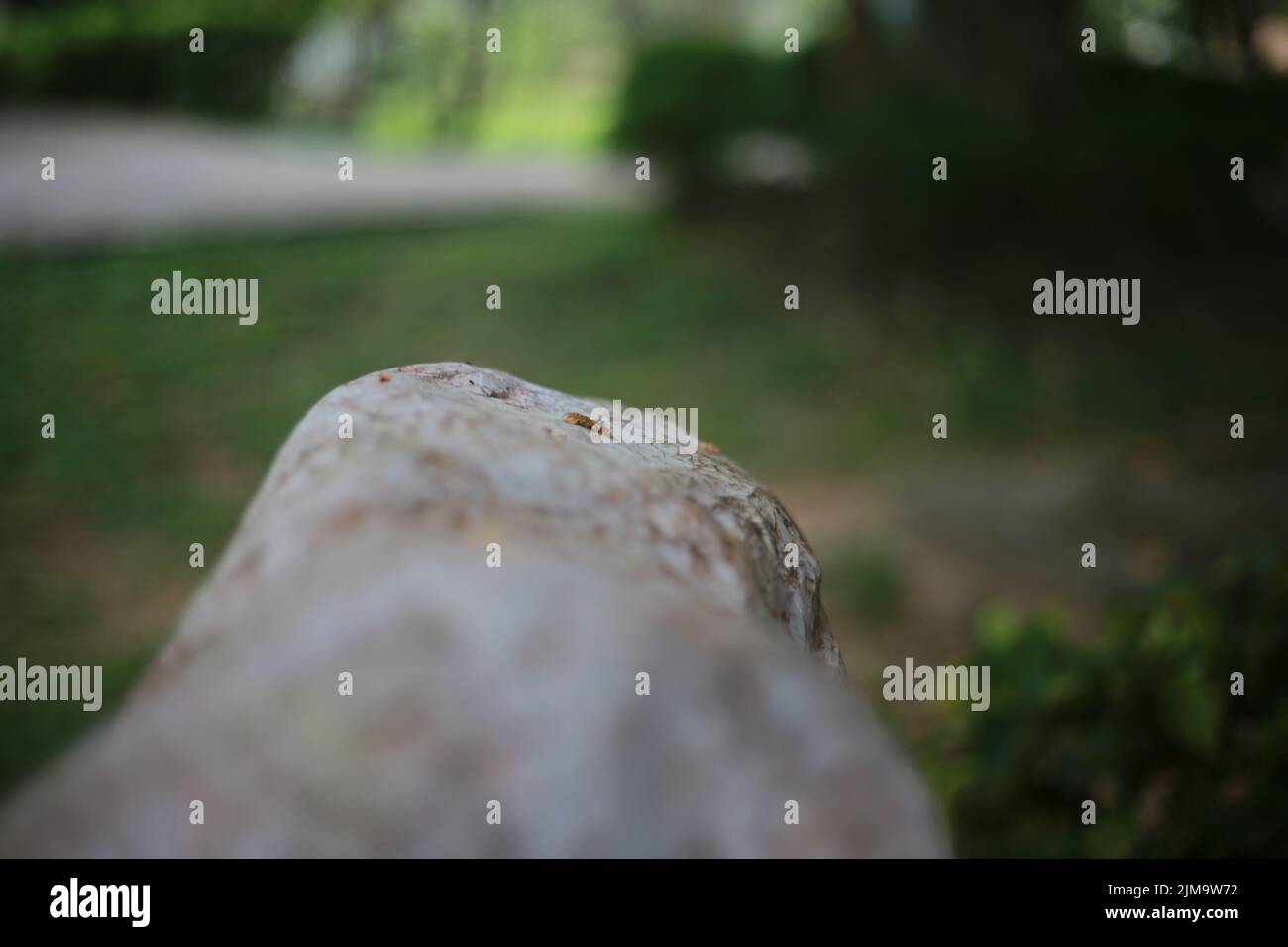 A closeup of stones in a garden on a blurred background Stock Photo - Alamy