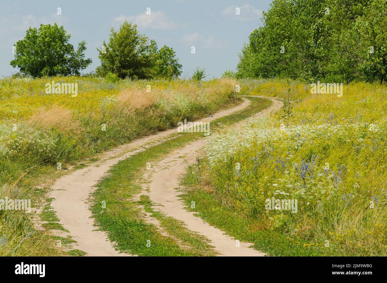 Forbs hi-res stock photography and images - Alamy