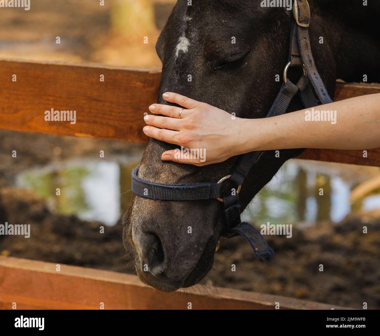 Hand caress hi-res stock photography and images - Alamy