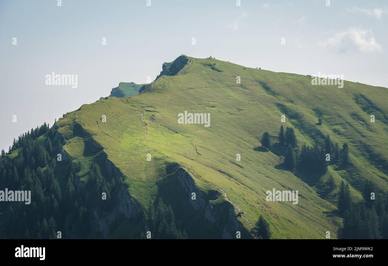 Shot beautiful green mountain hi-res stock photography and images - Alamy