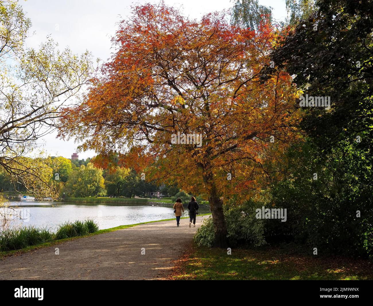 A beautiful fall scenery with two women walking at Djurgarden ...
