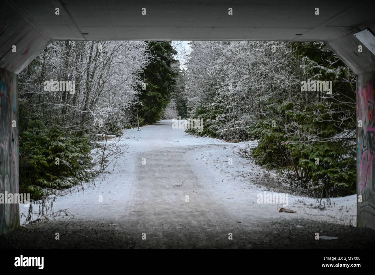 A snowy walkway in a forest under a highway bridge in Enkoping, Sweden ...