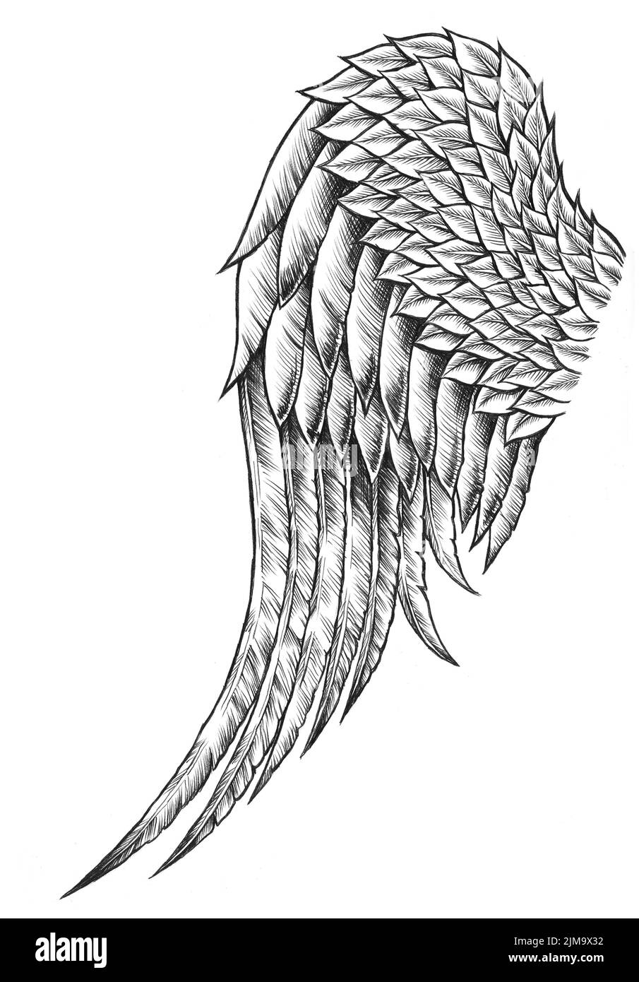 A sketch of tattoo in a shape of wing. Symbol of freedom Stock Photo ...