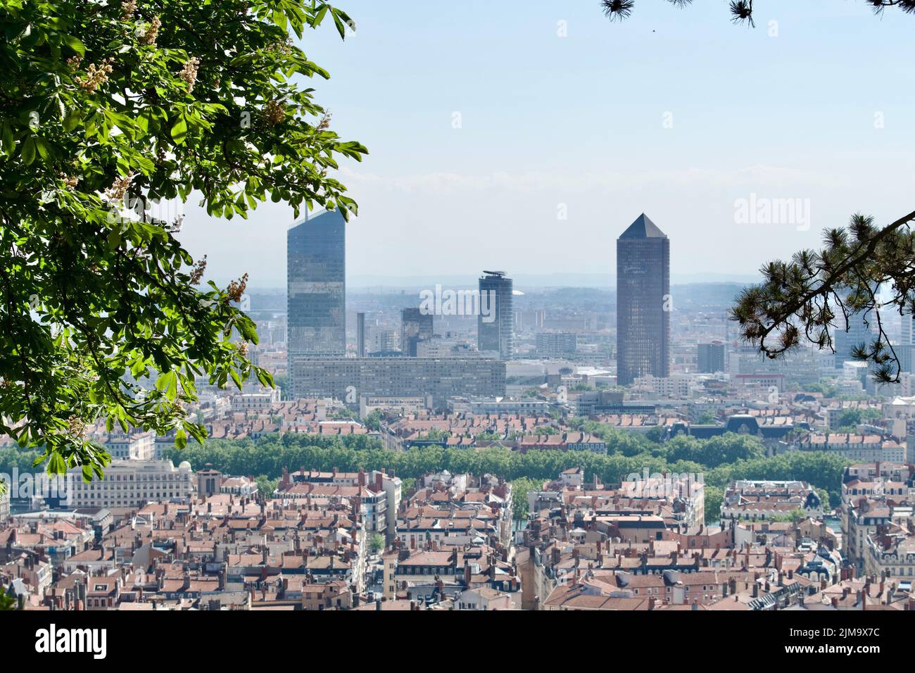 City seen through green branches hi-res stock photography and images ...