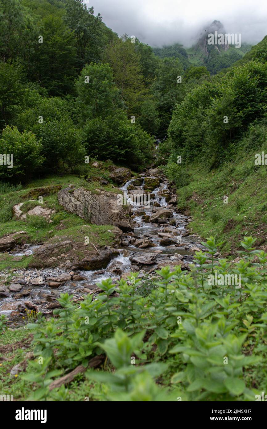 A vertical shot of torrent water in the mountains of the Pyrenees in ...