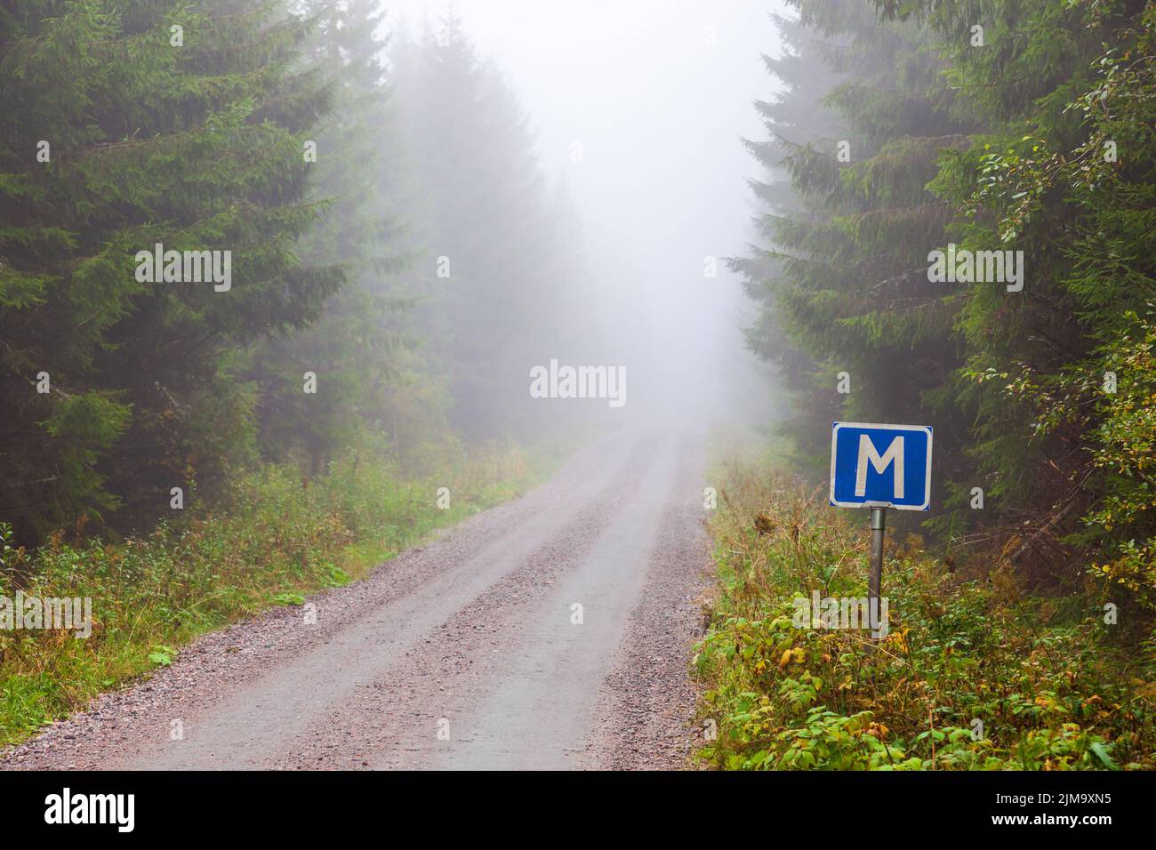 Foggy forest road with a meeting place road sign Stock Photo - Alamy