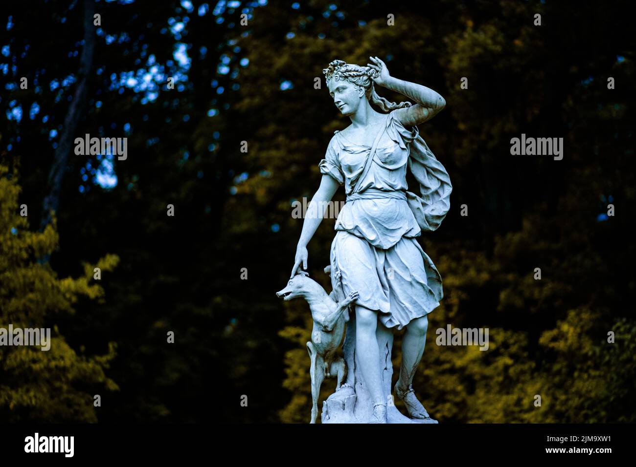 A closeup shot of an aesthetic statue of a female in the park in the ...