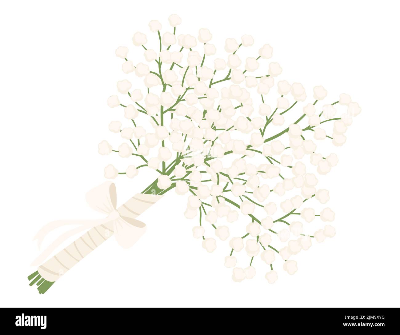 Bouquet of gypsophila flowers wrapped in paper with a white ribbon ...