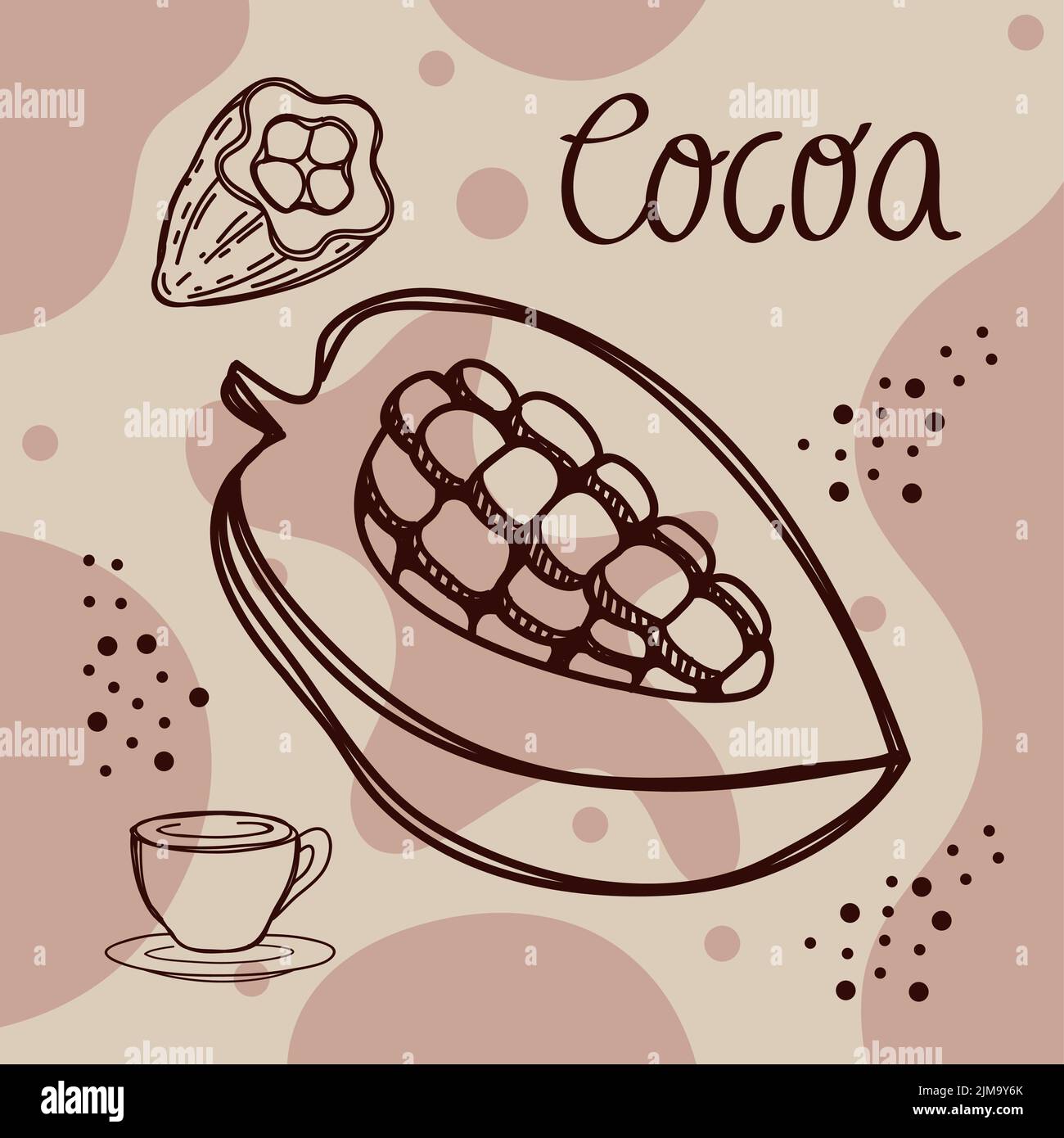 cocoa lettering with half fruit Stock Vector Image & Art - Alamy