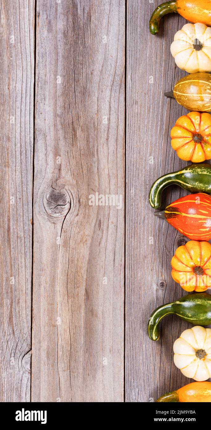 Right side border of autumn gourd decorations on rustic wooden boards ...