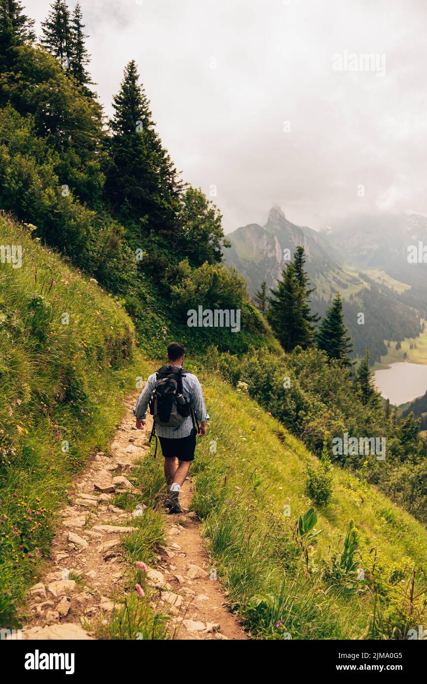 A vertical shot of a male hiker walking down the stairs in the field ...