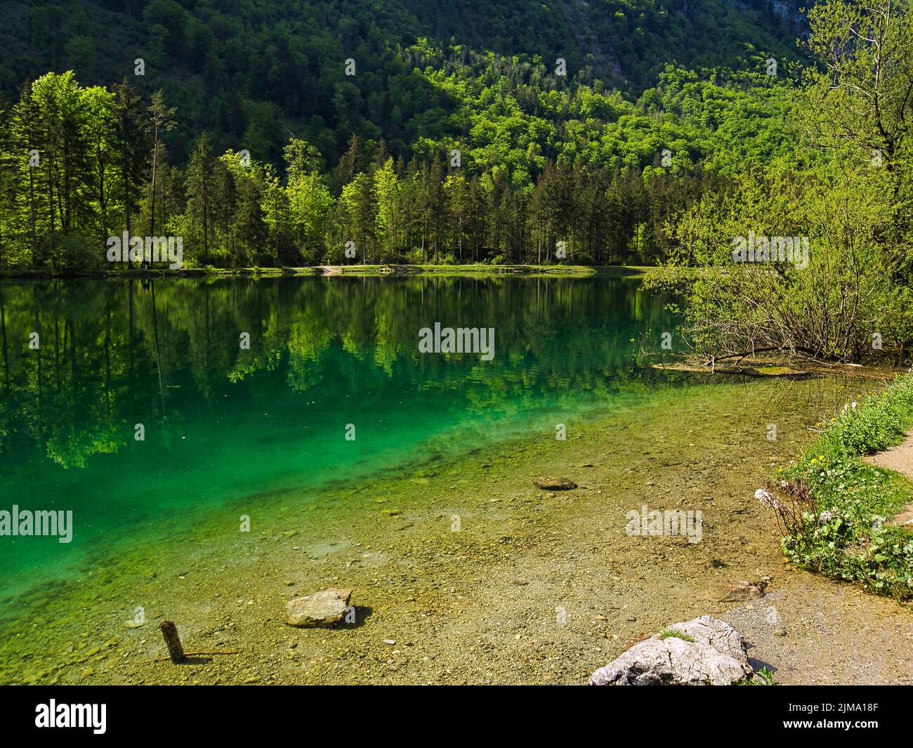 A beautiful view of the calm lake with reflection of trees in the water ...