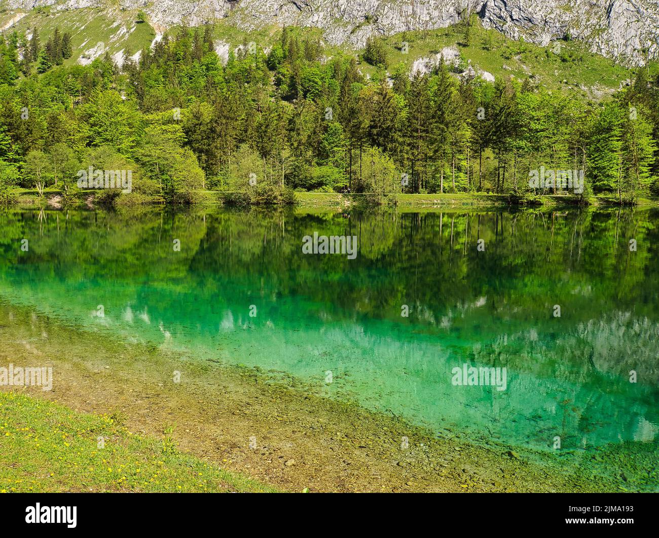 A beautiful view of the calm lake with reflection of trees in the water ...
