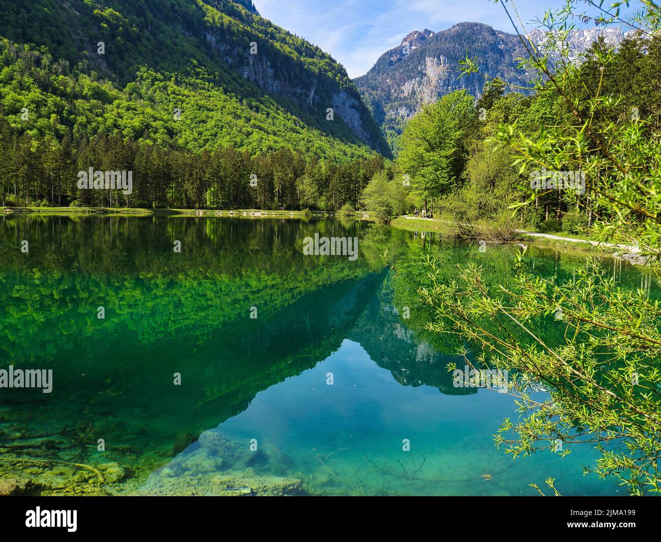 A beautiful view of the calm lake with reflection of trees in the water ...